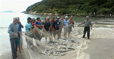 G1 Pescadores Capturam Cerca De 2 3 Mil Tainhas Em Praia Do Norte Da