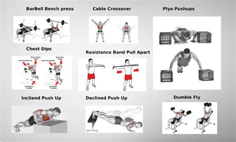 Learn 7 Best Workout For Chest AntimatterFit