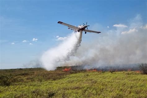 Mato Grosso registra 133 focos de incêndios na Amazônia Cerrado e Pantanal