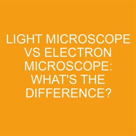 Light Microscope Vs Electron Microscope What S The Difference