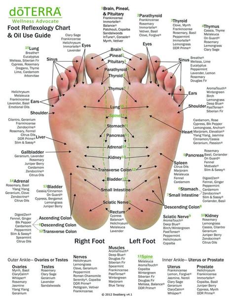 We Have What You Need In Oil Supplies Including The Hand Foot