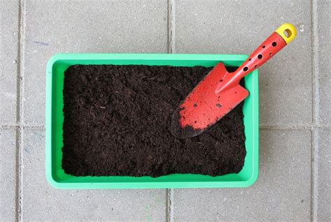 Como Preparar A Terra Para Plantar Petz