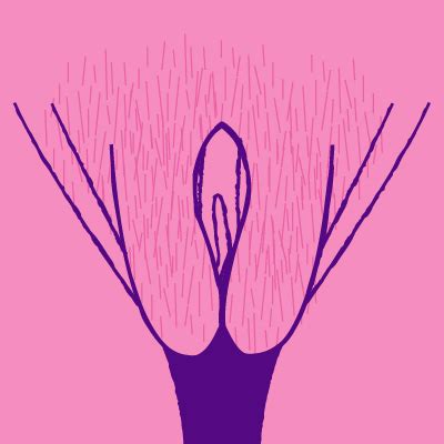 Difference Between Innie And Outie Labia Classpoo