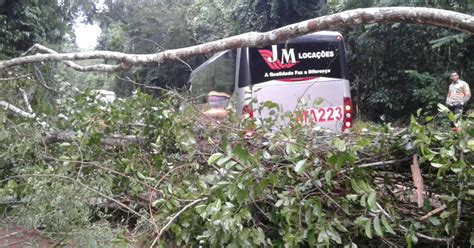 Árvore caí em cima de ônibus funcionários da Vale no Pará