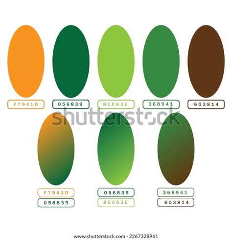Color Palette Color Shade Chart Vector Stock Vector Royalty Free