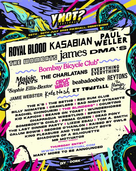 Y Not Festival Capacity 2024 Bibi Victoria