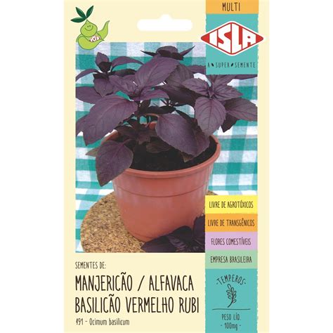 Sementes Manjericão Alfavaca Basilicão Vermelho RUBI ISLA Sementes
