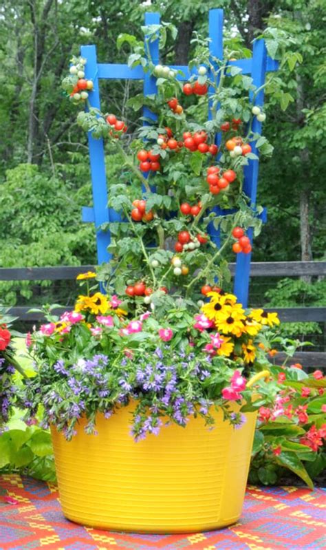 35 Creative Container Vegetable Garden Ideas A Piece Of Rainbow