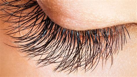 Extension Sourcils