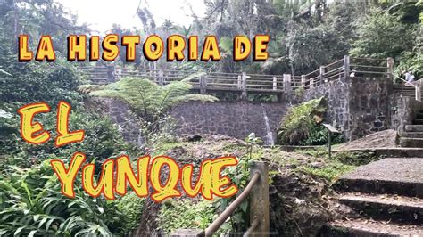 El Yunque Puerto Rico Su Historia Y Algunos Misterios YouTube