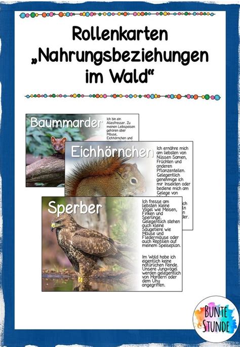 Pin Auf Biologie Sekundarstufe Unterrichtsmaterialien