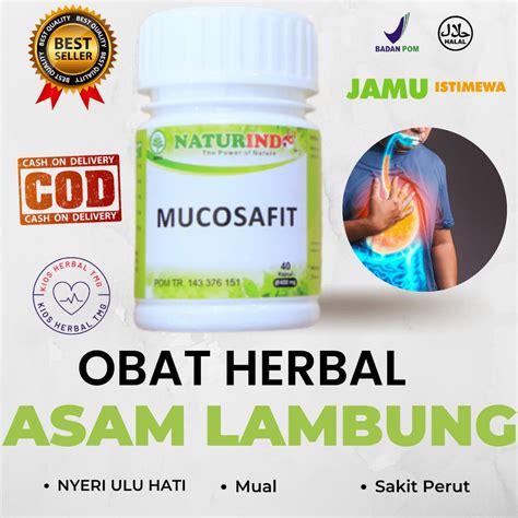 Jual Obat Asam Lambung Herbal Ampuh Obat Gerd Nyeri Ulu Hati Sakit
