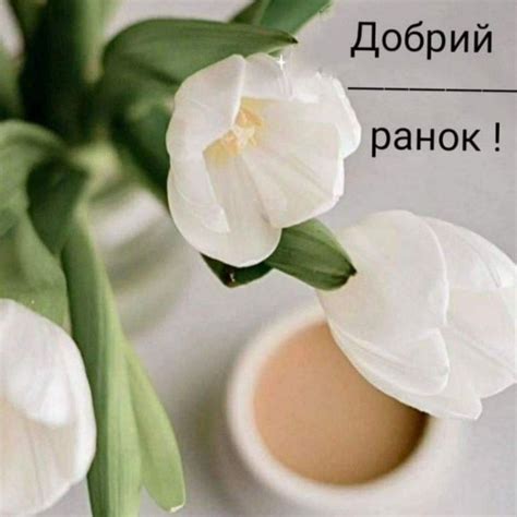 Pin by Snitko Vladislav on 6 березня March in 2023