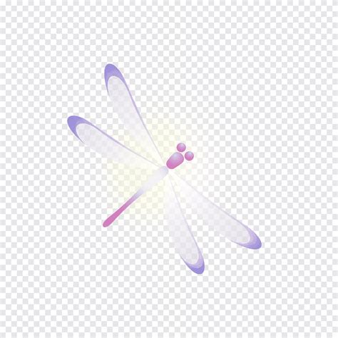 Insecto pájaro mosquito animal libélula hermosa púrpura animales png