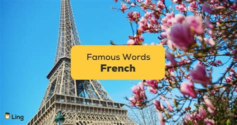 French Words For Beginners