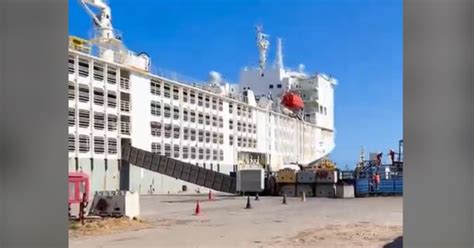 Navio que saiu do Brasil 19 mil cabeças de gado infesta ar da
