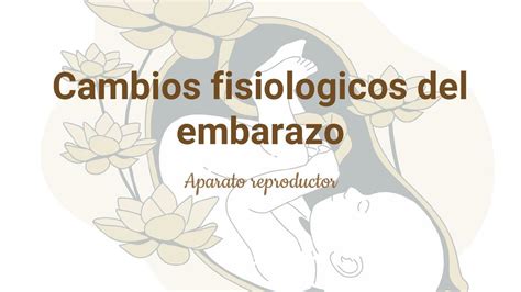 Cambios Fisiológicos del Embarazo Karina Marlen Blanco Coctecon uDocz