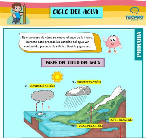 El Ciclo Del Agua Segundo De Primaria Image To U