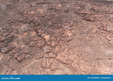 Piedra De Escala De Serpiente Gigante De La Cueva De Naka En El Parque
