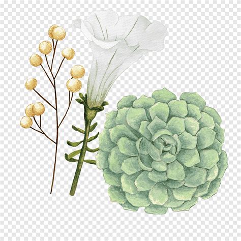 Design Floral Pintura Em Aquarela Flor Flores Em Aquarela Folhas De