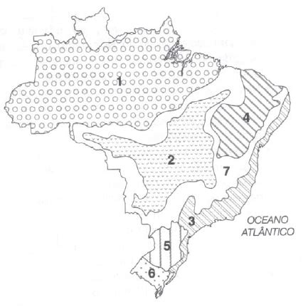 Observe o mapa que representa os Domínios Morfoclimáticos B