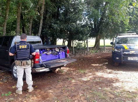 Prf Faz A Maior Apreens O De Maconha Do Ano At Agora Em Sc Kg No
