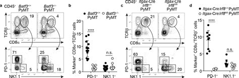 Programme Of Self Reactive Innate Like T Cell Mediated Cancer Immunity