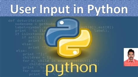 python fundamentals user input in python youtube
