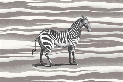 Vintage Zebra Obrazy Zebra TenStickers