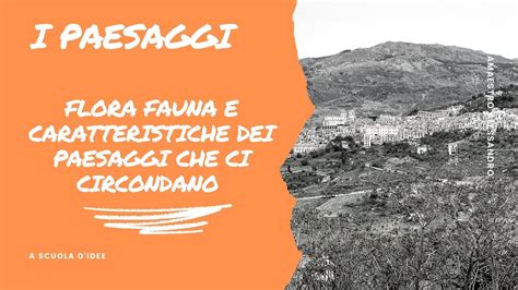 PAESAGGI GEOGRAFICI Flora Fauna E Caratteristiche Della Pianura Come