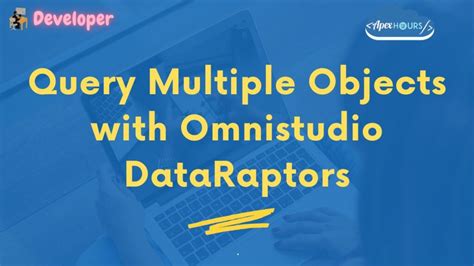 Query Multiple Objects With Omnistudio Dataraptors Apex Hours