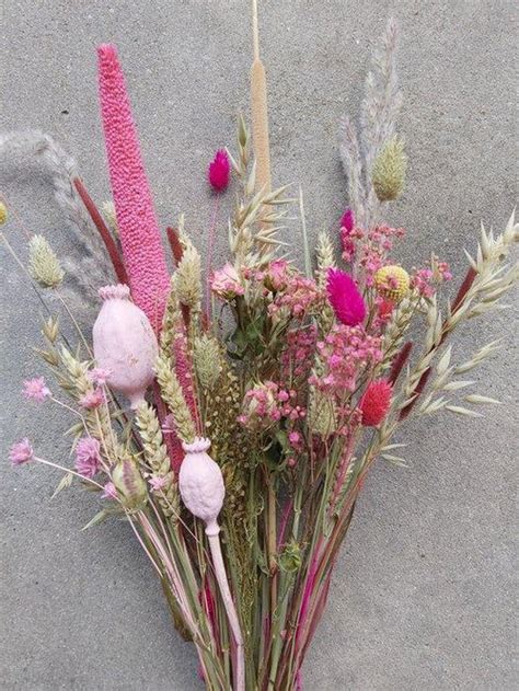 Boeket Droogbloemen Roze Wolk Bol
