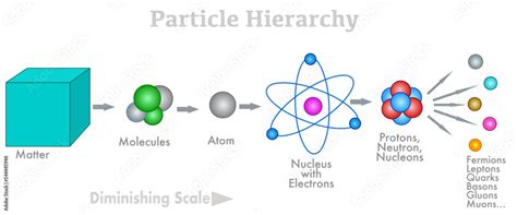 Vecteur Stock Particle Hierarchy Matter To Quarks Atom Structure