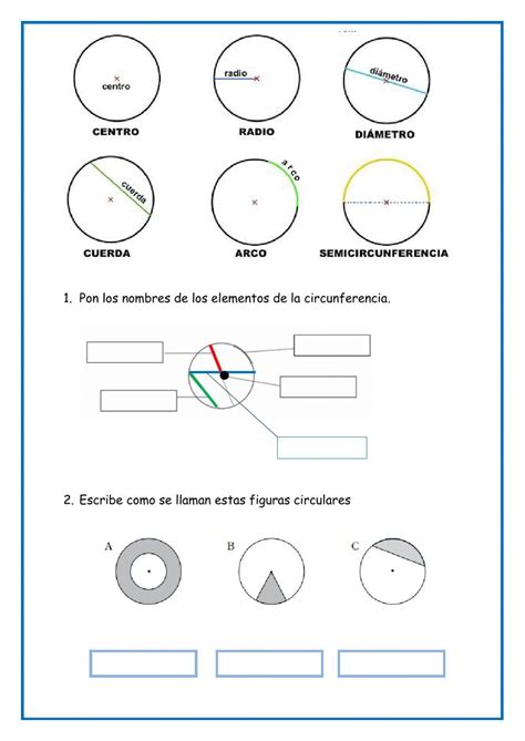 Circulo Y Circunferencia Ficha Interactiva Algebra Formulas School
