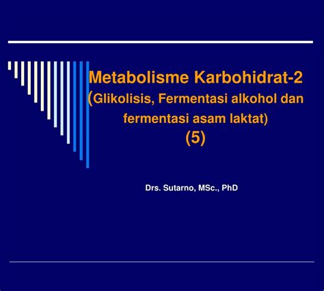 Ppt Metabolisme Karbohidrat Glikolisis Fermentasi Alkohol Dan