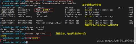docker容器 dockerfile构建镜像 dockerfile构建多个镜像 aka 布鲁克林欧神仙的博客 csdn博客