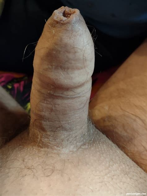 Mein rasierter Ständer Kostenlose Penis Bilder und Schwanzfotos