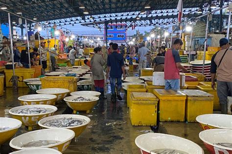 Belanja Di Pasar Ikan Muara Angke Pembeli Seru Ikannya Segar Dan