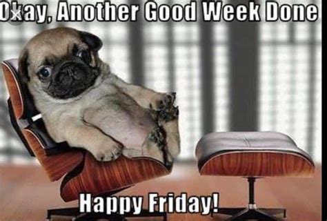 The Absolute Best Happy Friday Memes And Counting Banter