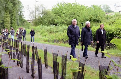 Pau Agglo Malgr Les Intemp Ries Le Chemin Vers Le Lac Daressy En