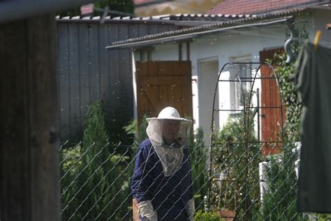 Imker Bienen Garten Kostenloses Foto Auf Pixabay