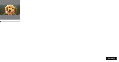 React Easy Crop Demo Forked Codesandbox