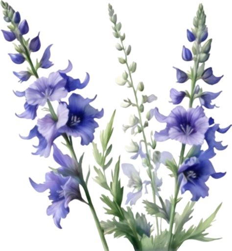 Premium PSD Watercolor Painting Of A Larkspur Flower