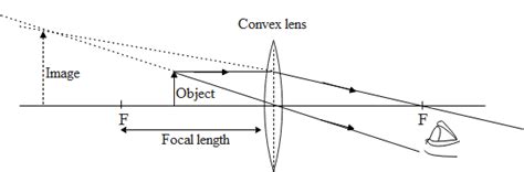 Draw A Neat Labelled Diagram For The Formation Of Image In A Simple