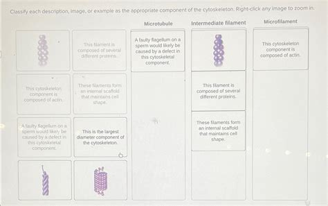 Solved Classify Each Description Image Or Example As The Chegg