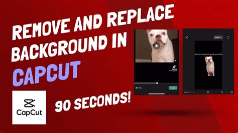 Capcut How To Remove Background From Video Replace Background YouTube