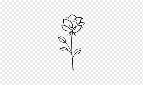 Drawing Rose Flower Rose Leaf Branch Monochrome Png PNGWing