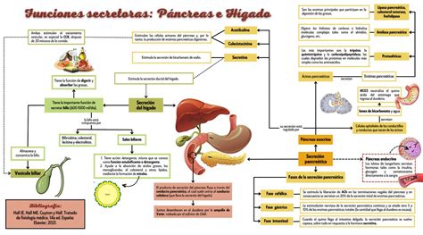 Secreción del Páncreas y el Hígado en el Sistema Digestivo Melanie