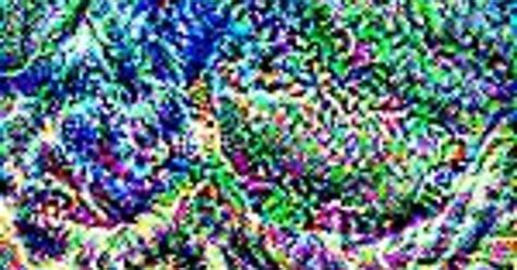 failed style transfer album on imgur