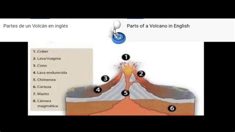 Partes Del Volc N En Ingl S Youtube